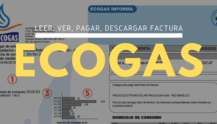 ECOGAS | Leer, ver, pagar, descargar e imprimir la factura