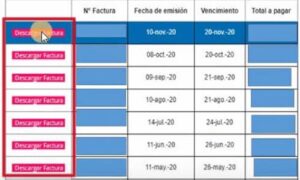 EDESUR | Ver, pagar, descargar e imprimir factura